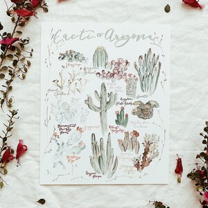 Wildflowers Succulents & Cacti of Arizona Southwest SET OF 3 Wall Art ...
