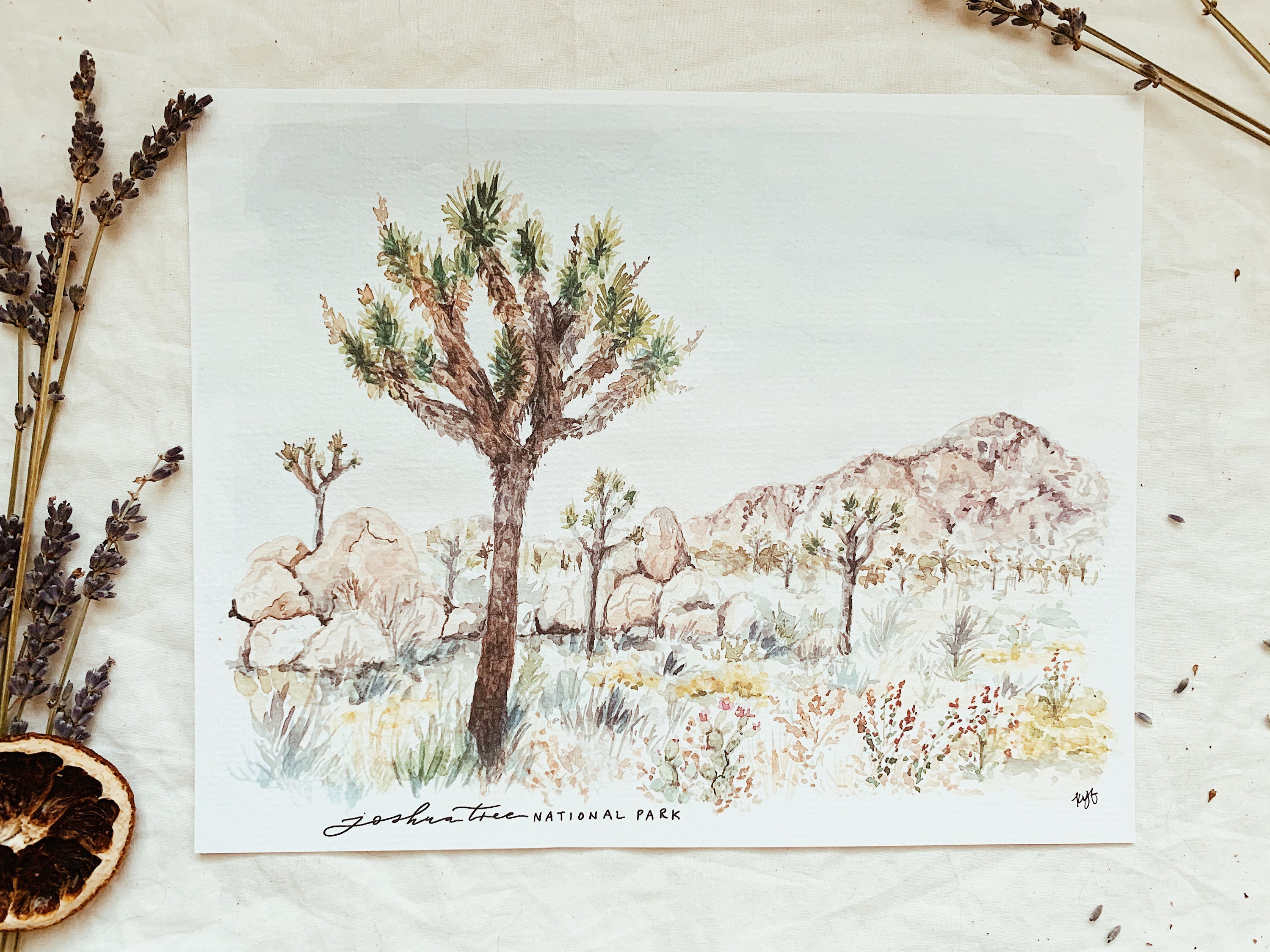Joshua Tree National Park Print Fine Art Watercolor Painting - Etsy