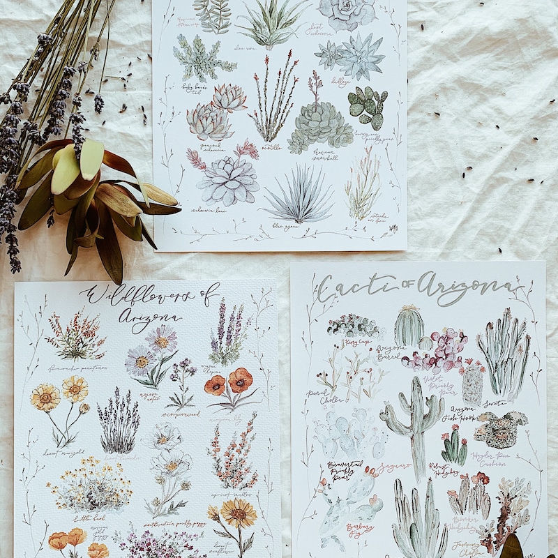 Desert Cactus Print - Etsy