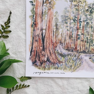 Sequoia National Park Print, Watercolor Painting, Nature Wall Art ...