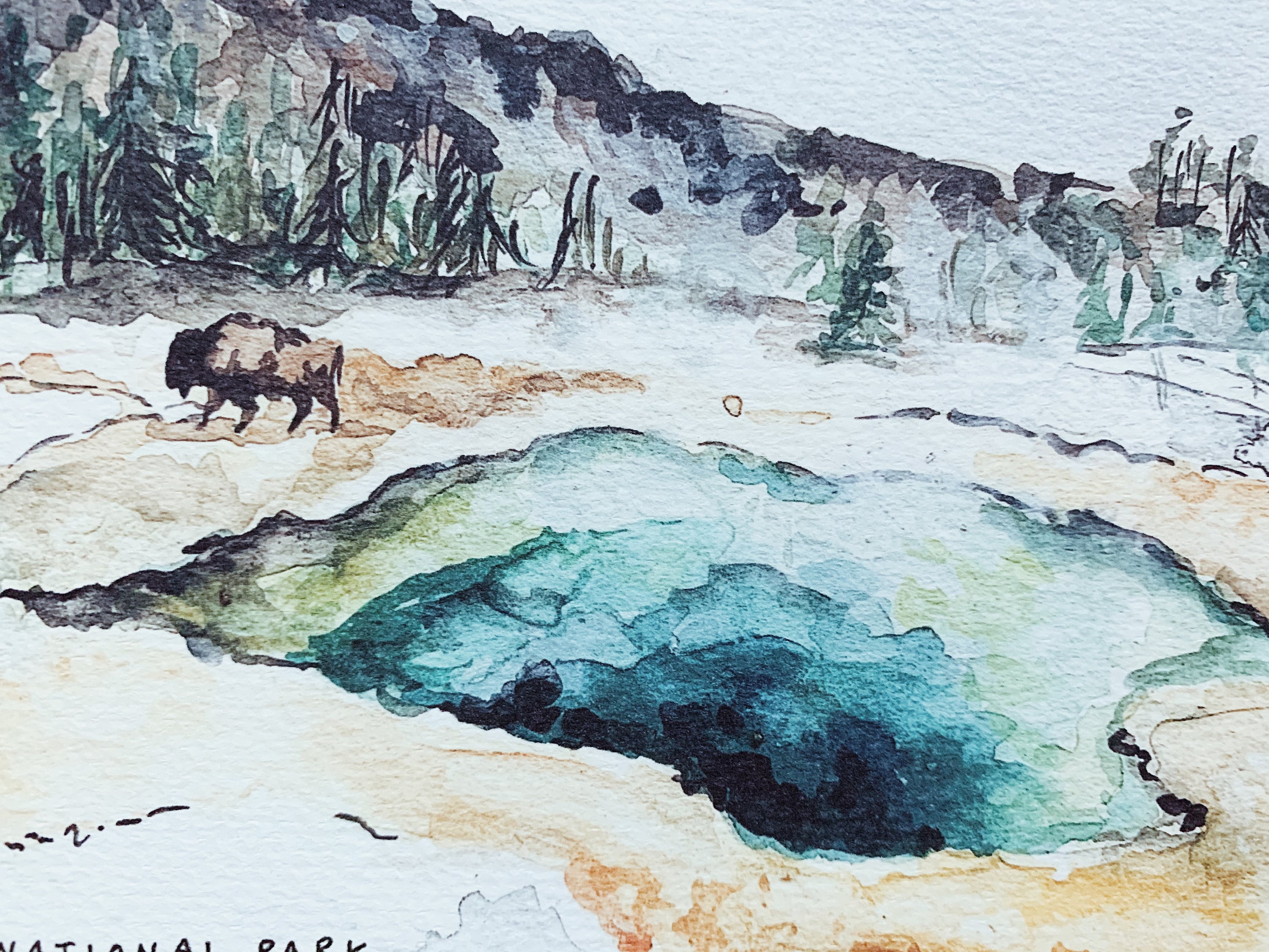Yellowstone National Park Print Fine Art Watercolor Painting - Etsy