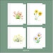 Wildflower Blank Folded Note Card Set W/ Envelopes Desert Botanic ...