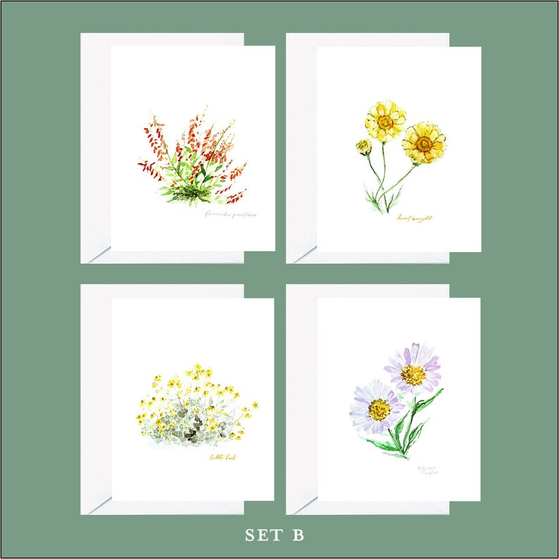 Wildflower Blank Folded Note Card Set W/ Envelopes Desert - Etsy