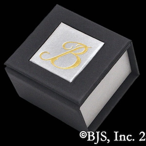 Institute Ring for House Mars From the Red Rising Series by Pierce ...