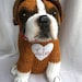 Boxer Dogs, Boxer Dog Gifts, Boxers Lovers Gift, Gifts for Boxer Dog ...