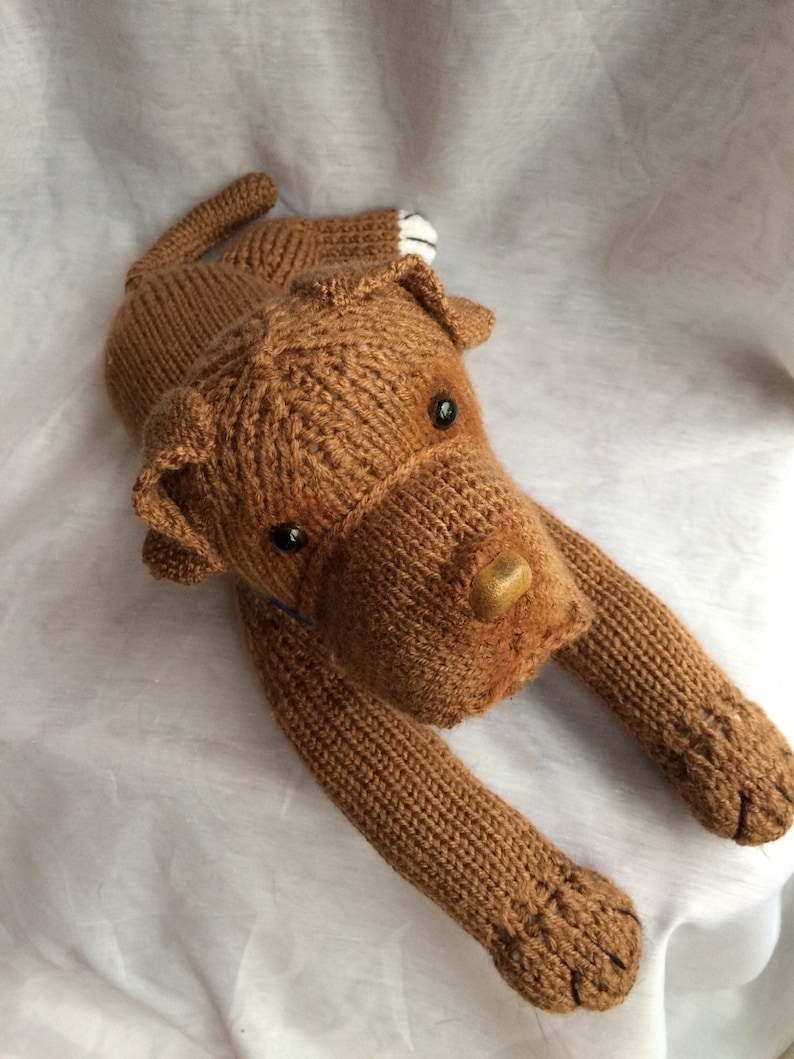 American Pitbull Pitbull Gifts Dog Lovers Gifts American | Etsy