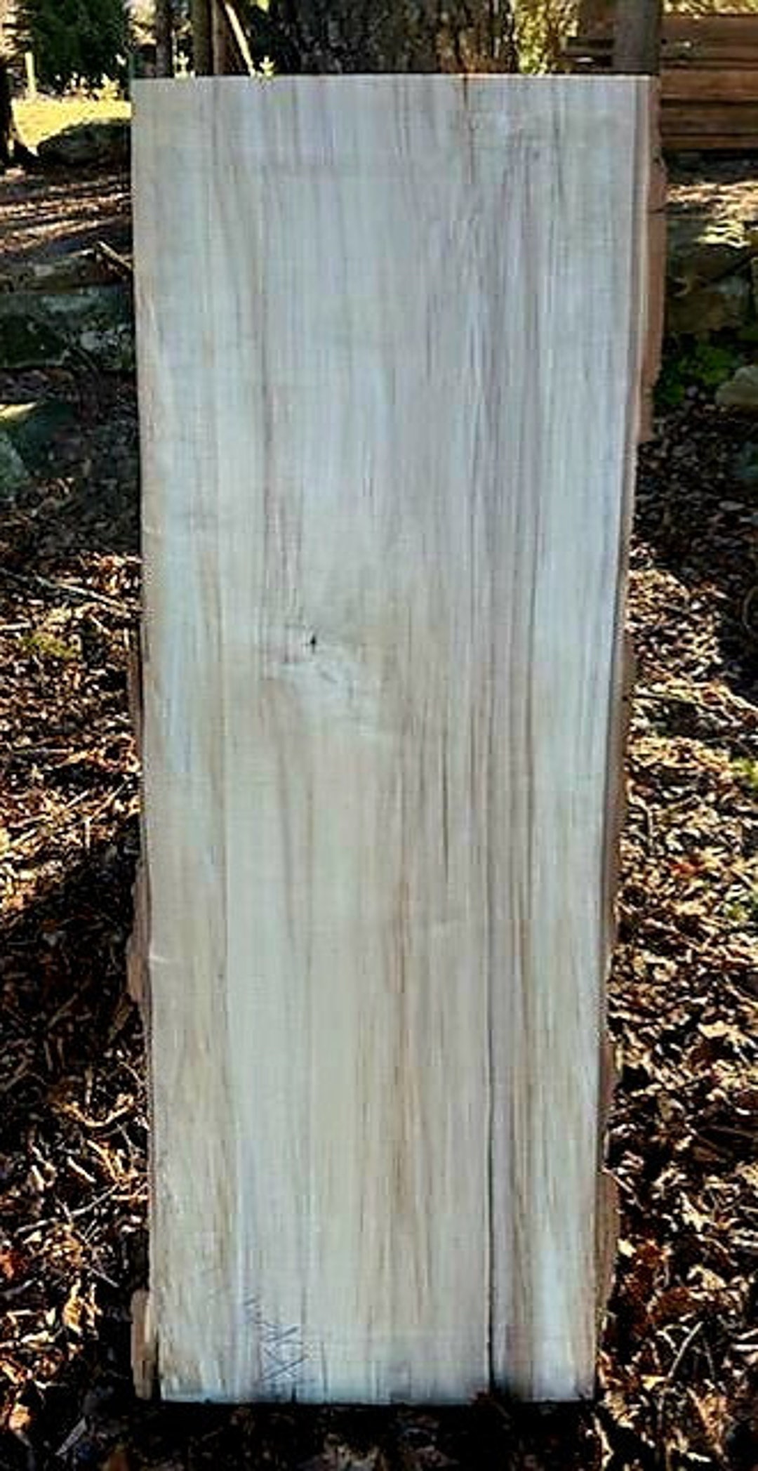 Live Edge Aspen Slab - Etsy