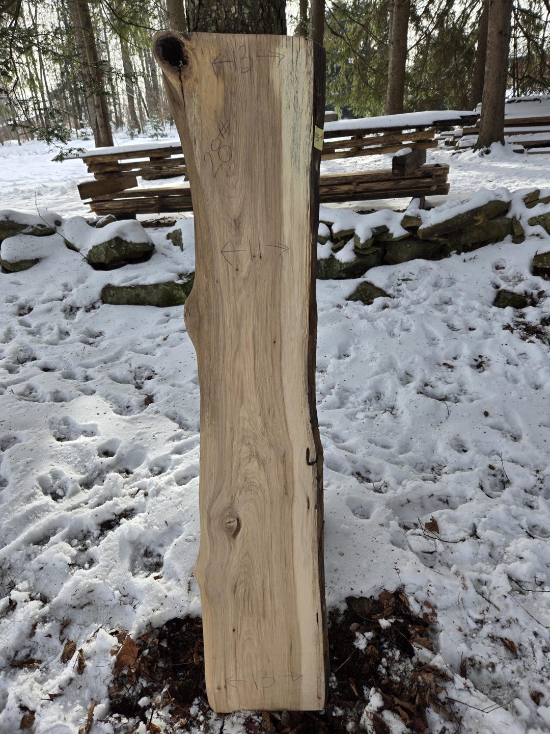 Live Edge Elm Slab - Etsy