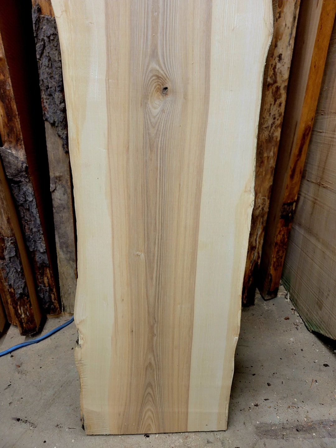 Live Edge Ash Slab - Etsy