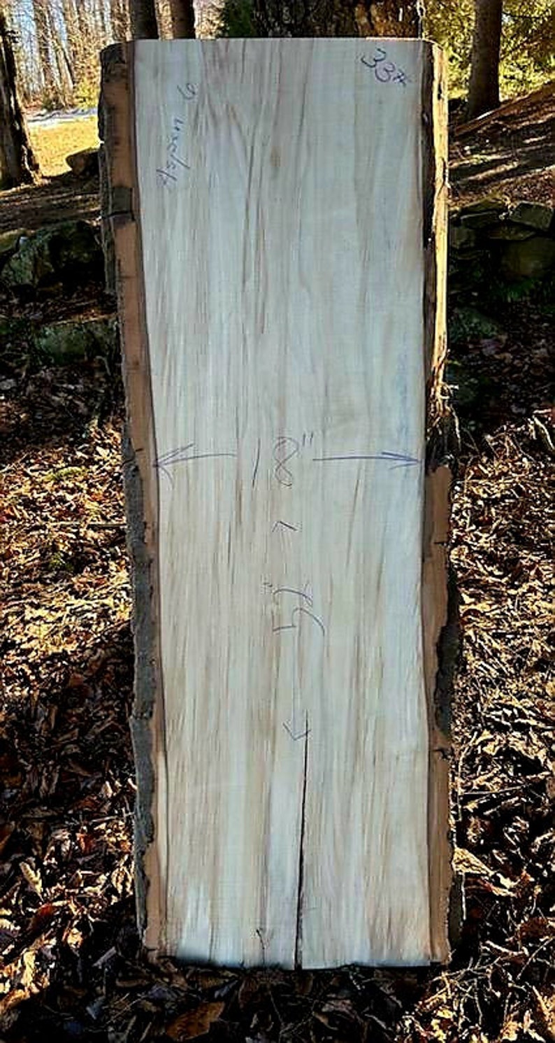 Live Edge Aspen Slab - Etsy