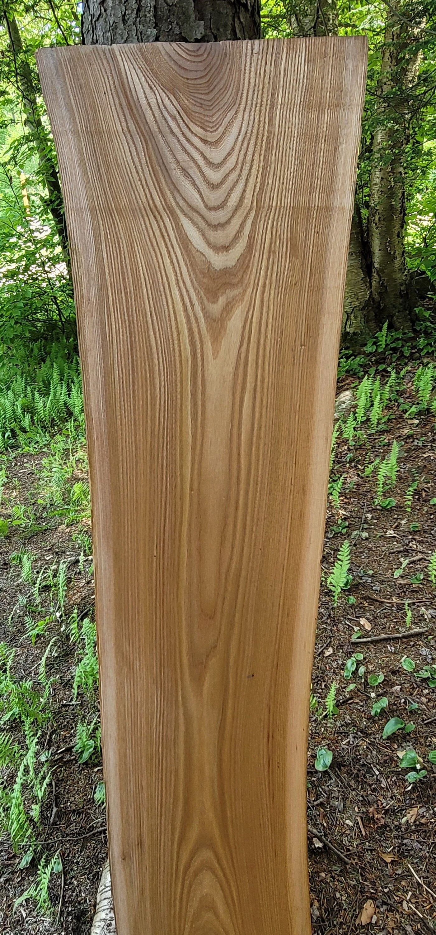 Live Edge Elm Slab - Etsy