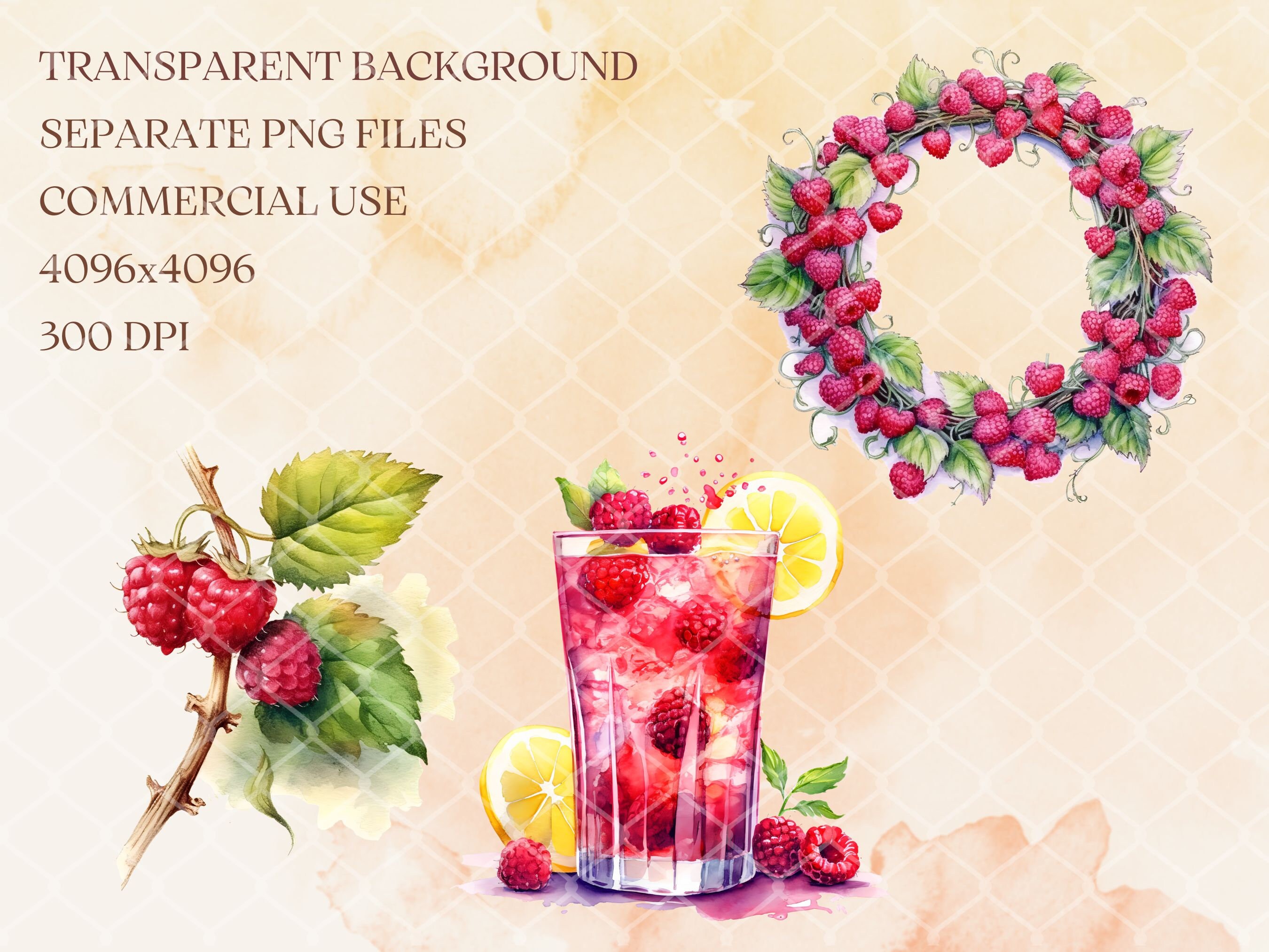 Watercolor Raspberry PNG Clipart Bundle Berry Png Digital - Etsy