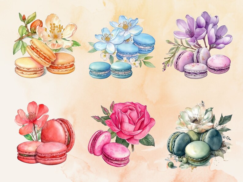 Floral Macaron Watercolor Clipart PNG Bundle, Bakery Clipart, Dessert ...