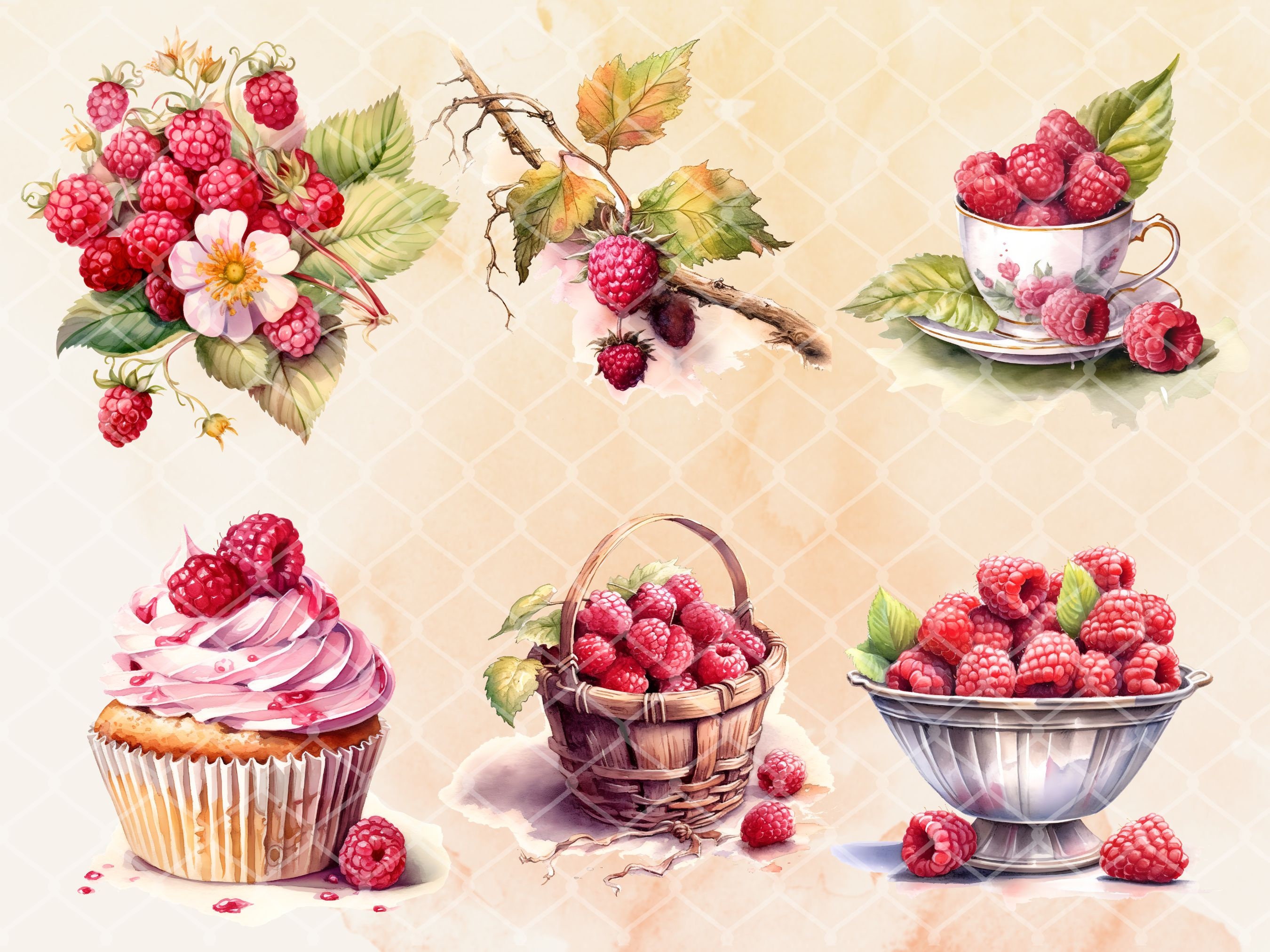 Watercolor Raspberry PNG Clipart Bundle Berry Png Digital - Etsy