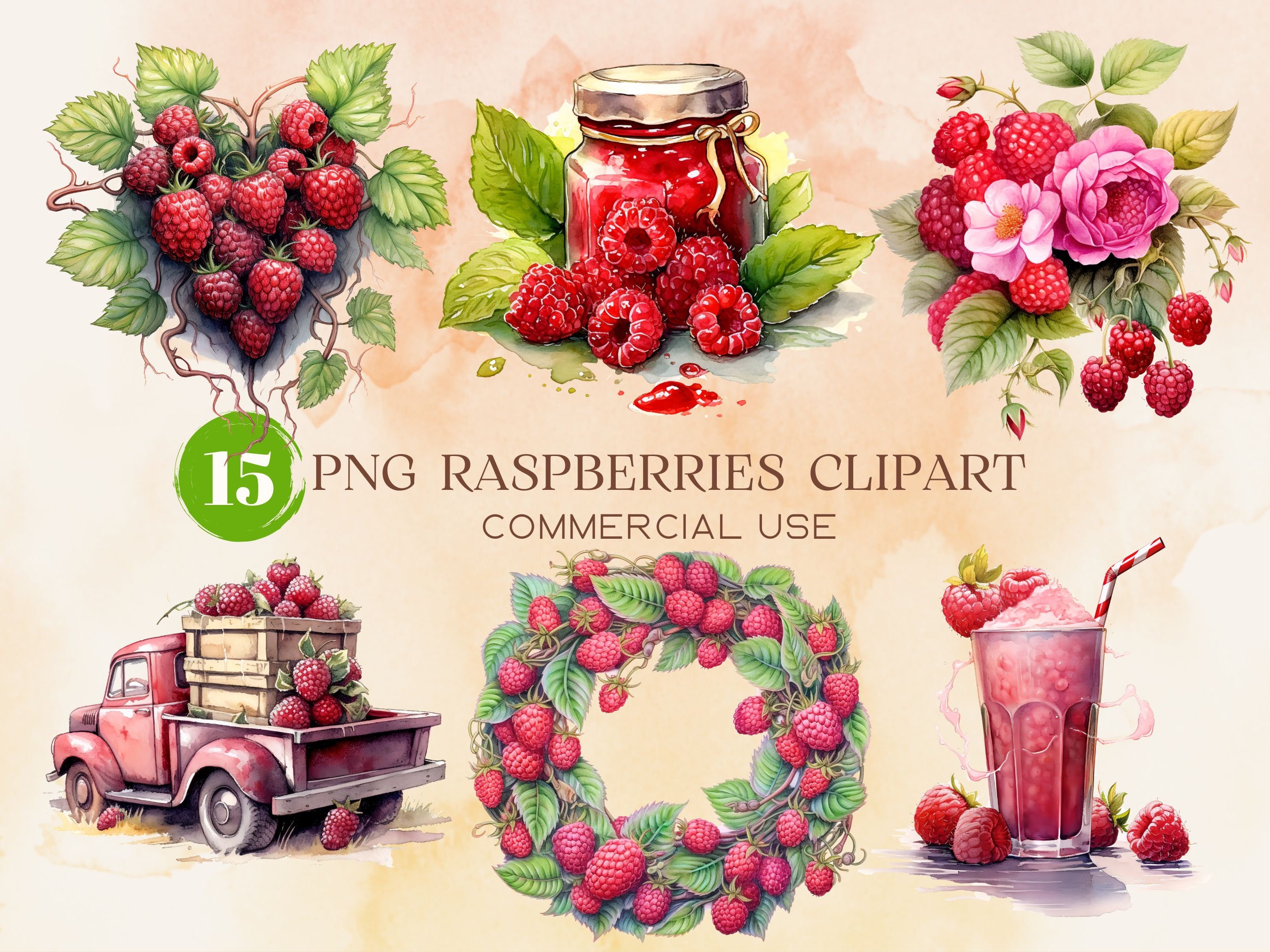 Watercolor Raspberry PNG Clipart Bundle Berry Png Digital - Etsy