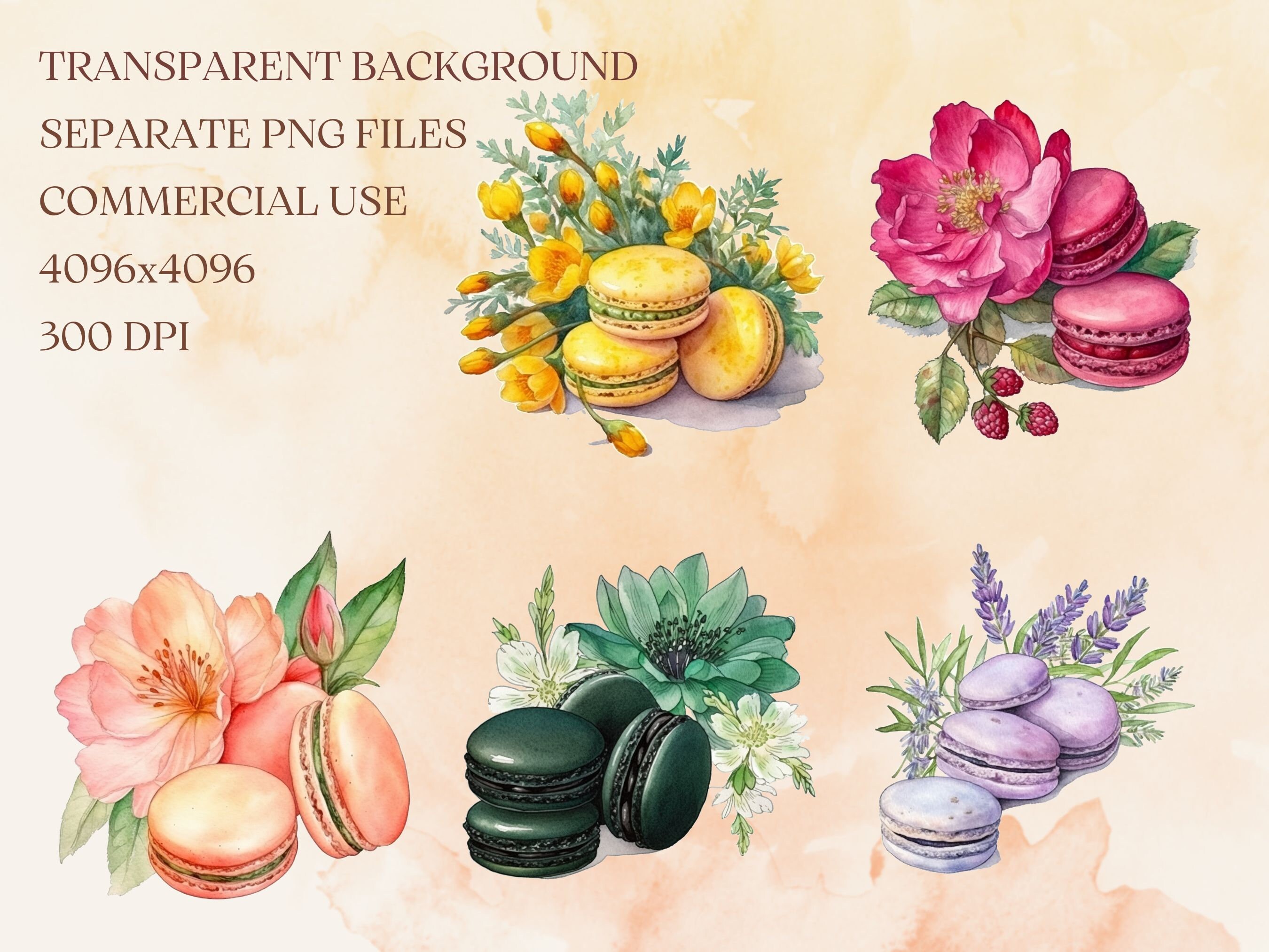 Floral Macaron Watercolor Clipart PNG Bundle, Bakery Clipart, Dessert ...