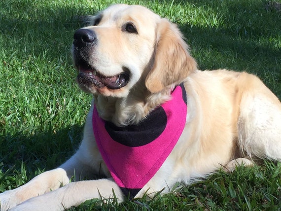 Dog dribble 'n Drool Absorbent Towelling | Etsy