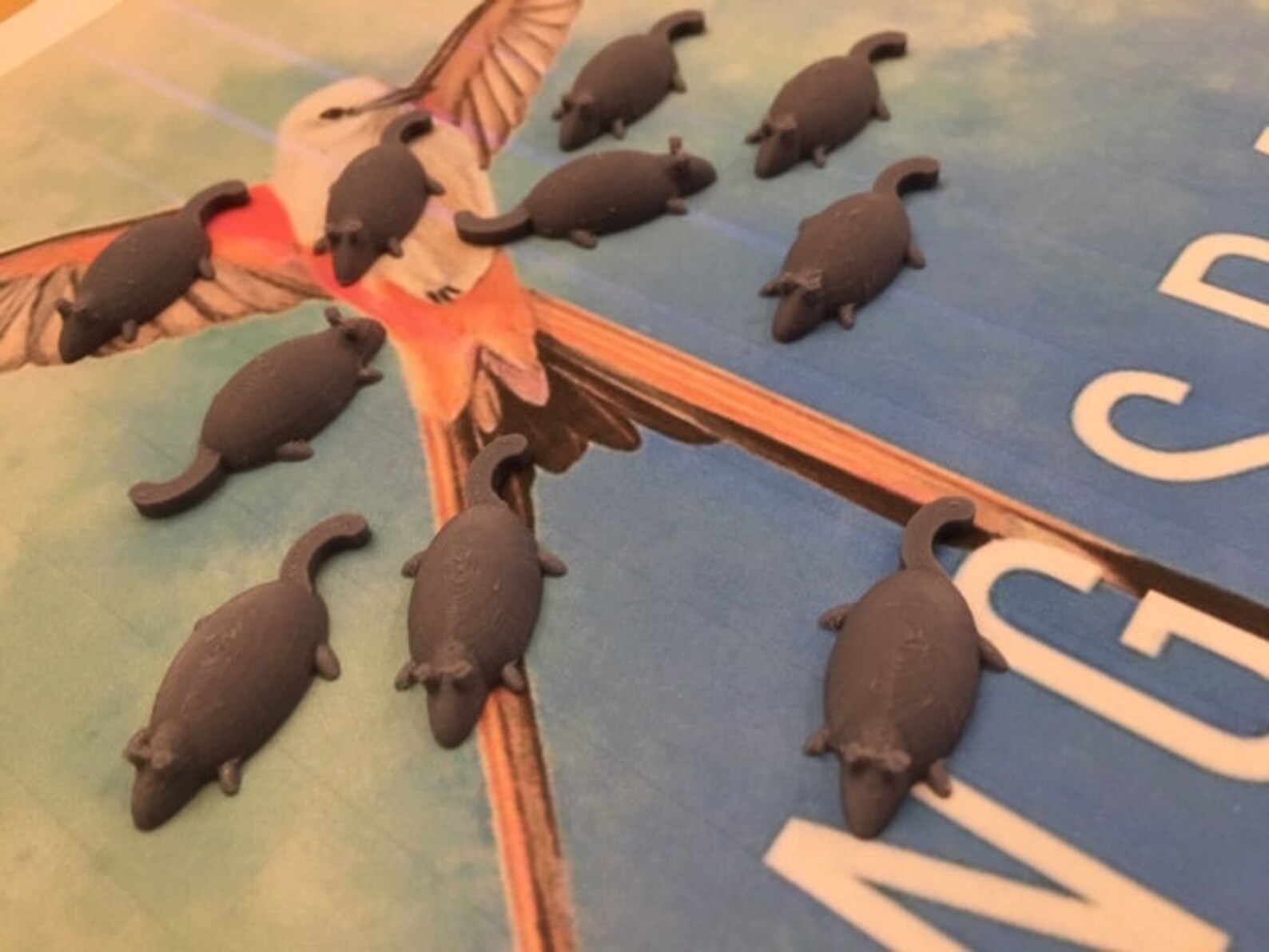 Wingspan Food and Player Tokens - Etsy