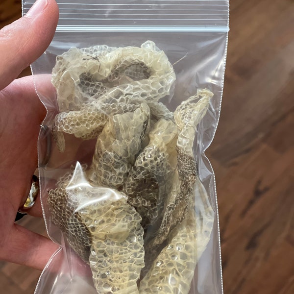 Snake Sheds - Etsy