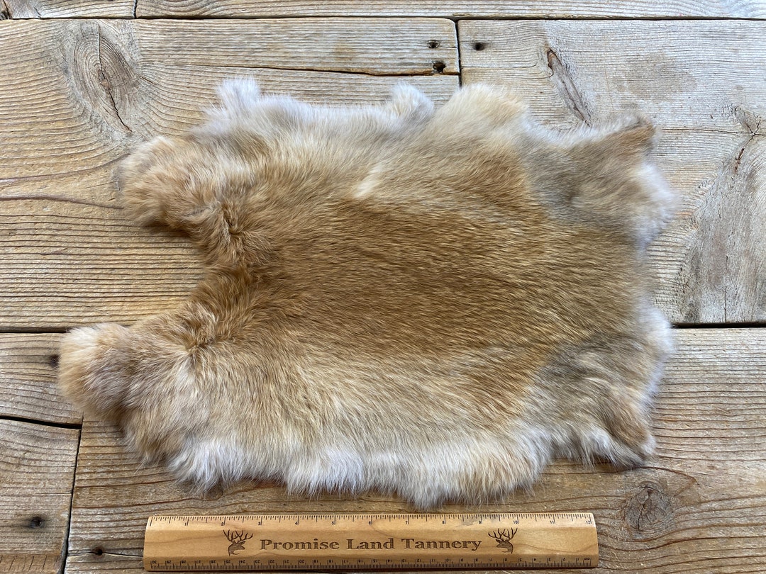 Tan/fawn Rabbit Hide - One Average - Natural Rabbit Fur - No. 231008-Z ...