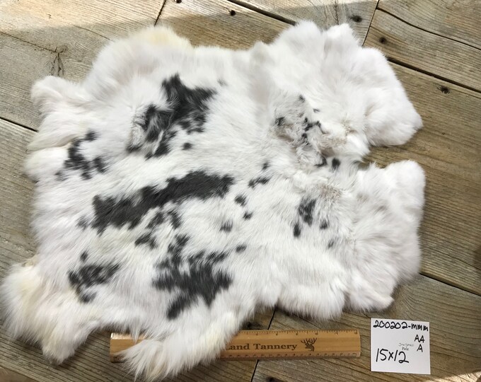 Spotted Grey and White Rabbit Hide One Jumbo Natural Rabbit - Etsy