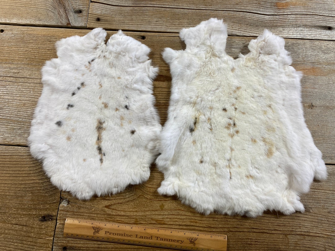 Lot of Two Matching White With Brown and Black Spotted Rex Rabbit Hides ...