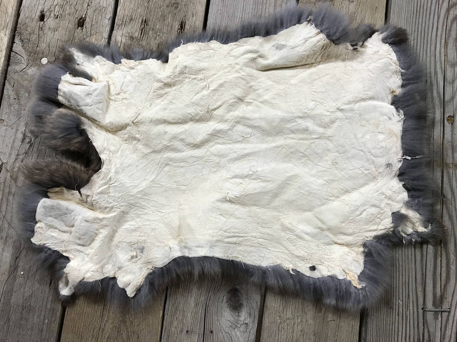 Lot of 4 Assorted Rabbit Hides as Shown Natural Rabbit Fur | Etsy