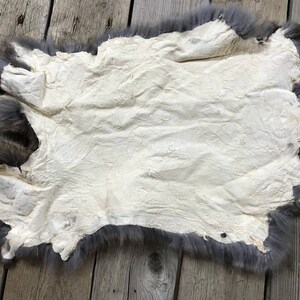 Lot of 4 Assorted Rabbit Hides- as Shown- Natural Rabbit Fur- No ...