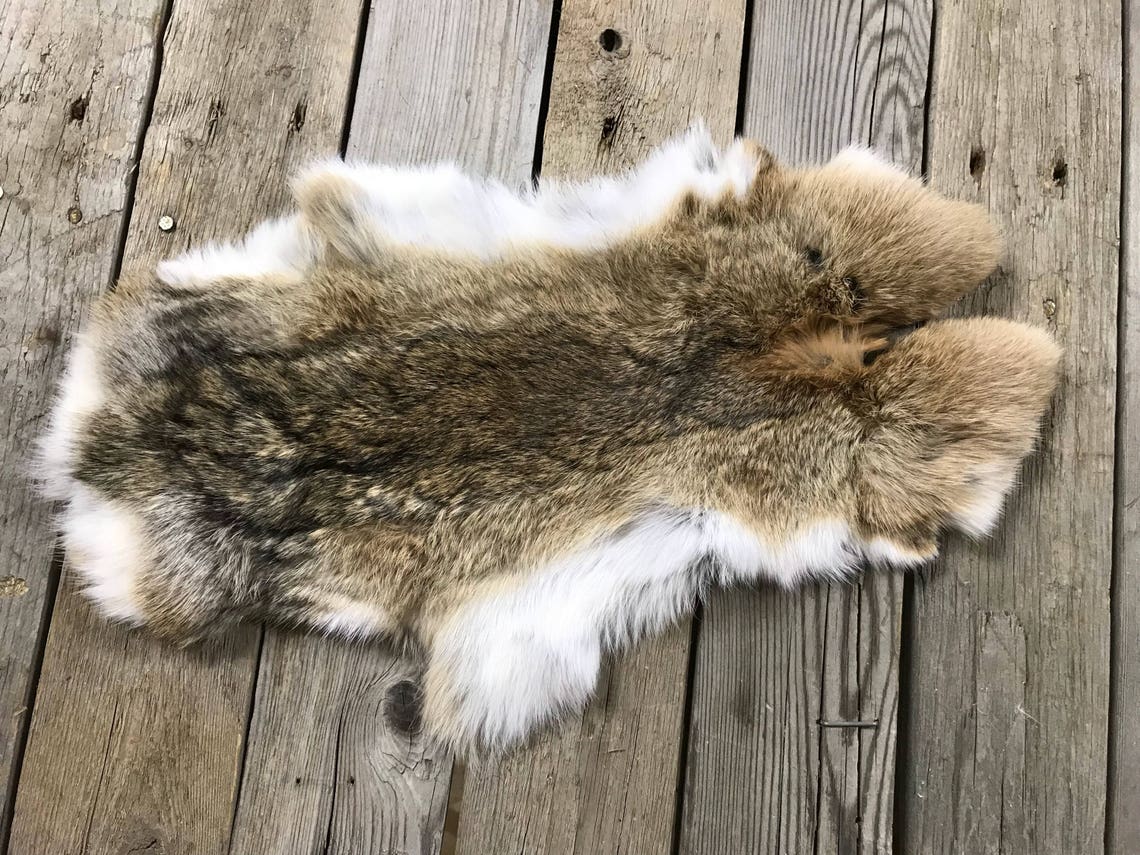 Lot of 4 Assorted Rabbit Hides as Shown Natural Rabbit Fur - Etsy