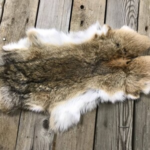 Lot of 4 Assorted Rabbit Hides- as Shown- Natural Rabbit Fur- No ...
