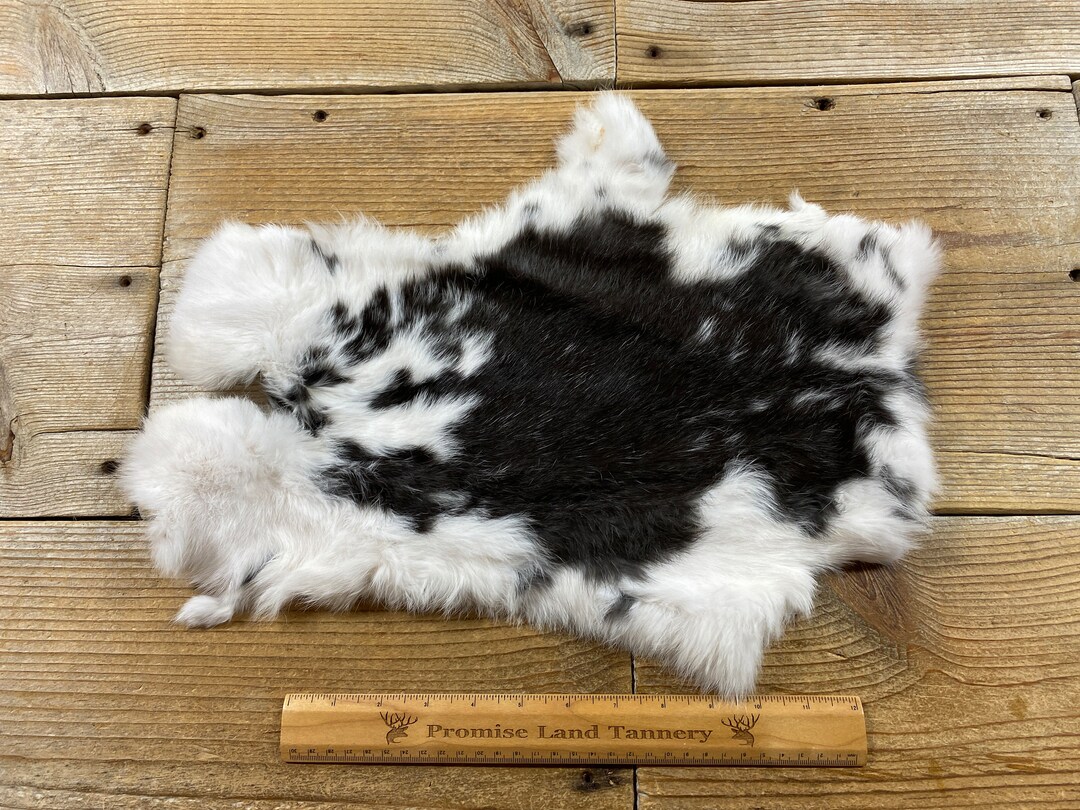 White and Black Spotted Rabbit Hide-one Average Natural Rabbit Fur- No ...