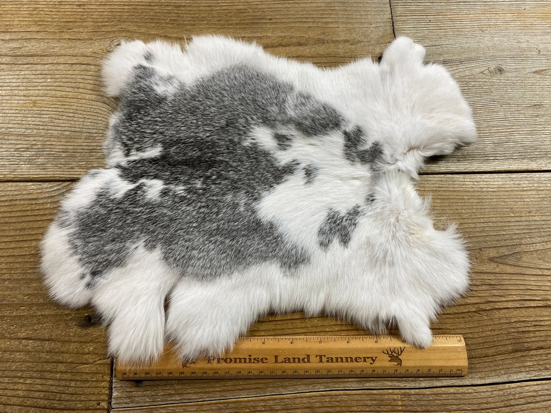 White and Gray Spotted Rabbit Hide-one Average Natural Rabbit Fur- No ...
