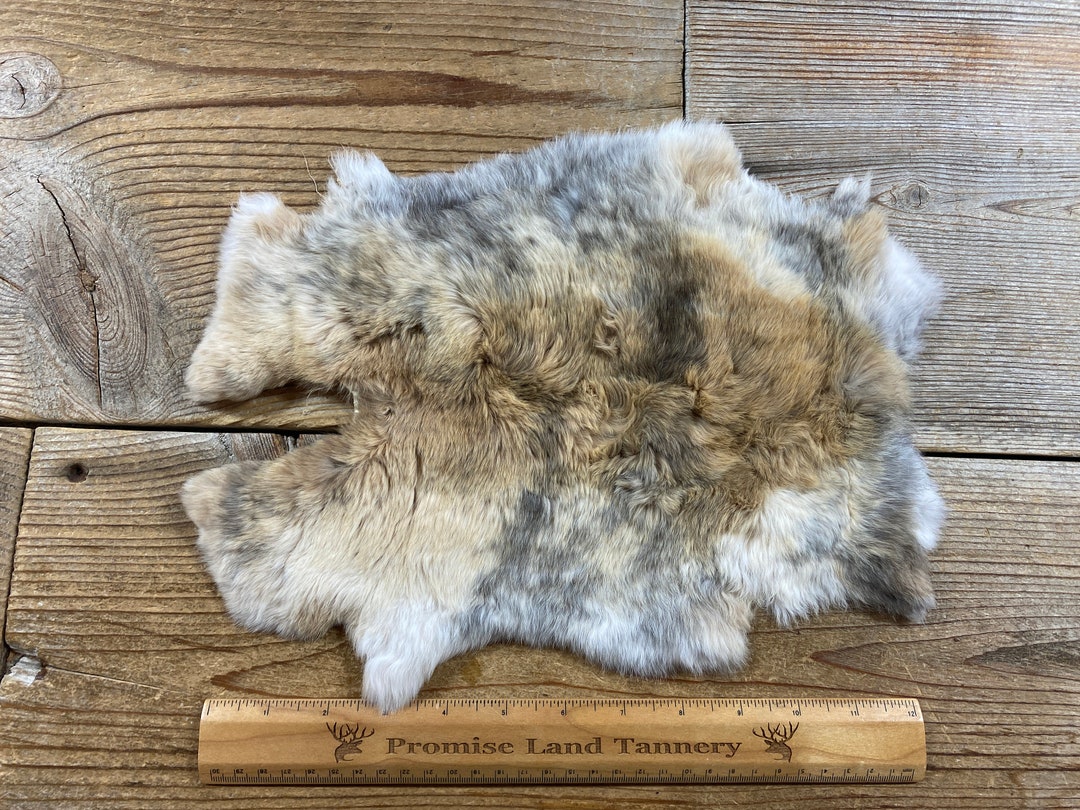 Japanese Harlequin Brown Rabbit Hide One Average Rex Natural Rabbit Fur ...
