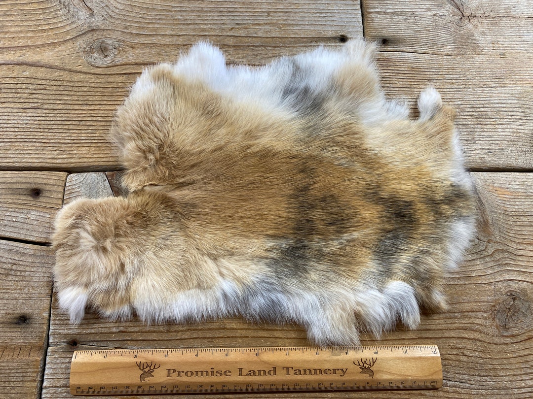 Japanese Harlequin Brown Rabbit Hide One Average Natural Rabbit Fur Lot ...