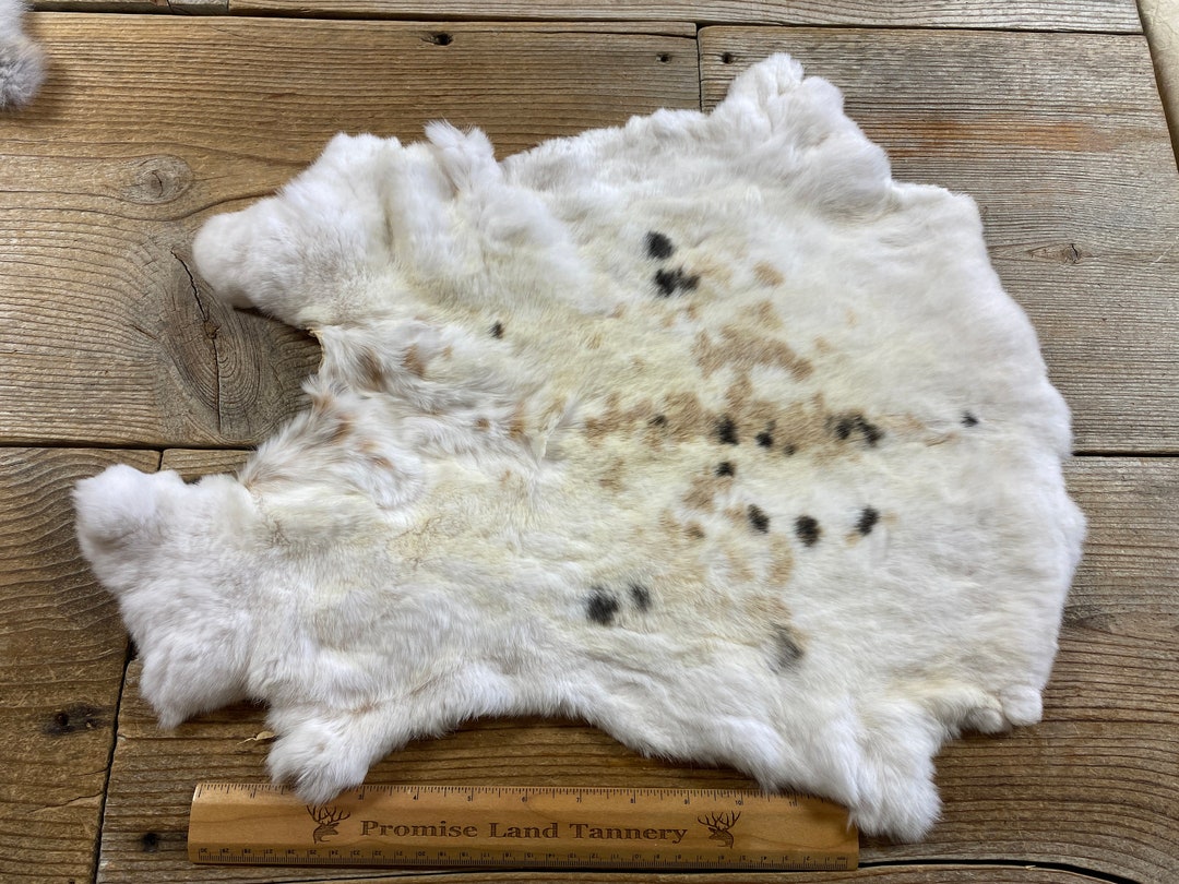 White With Brown and Black Spotted Rex Rabbit Hide - One Average ...