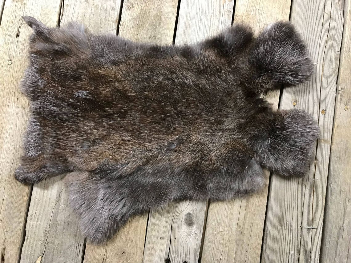 Lot of 4 Assorted Rabbit Hides as Shown Natural Rabbit Fur | Etsy