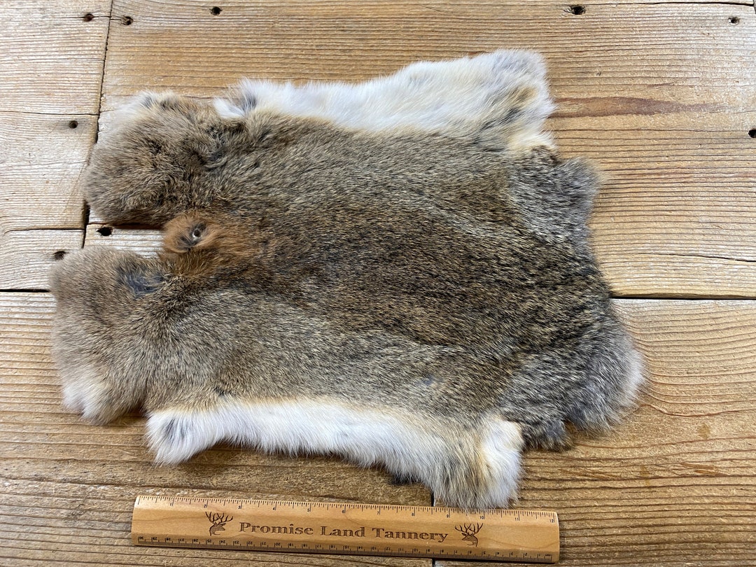 Brown Rabbit Hide - One Average - Natural Rabbit Fur - Lot No. 231130-P ...