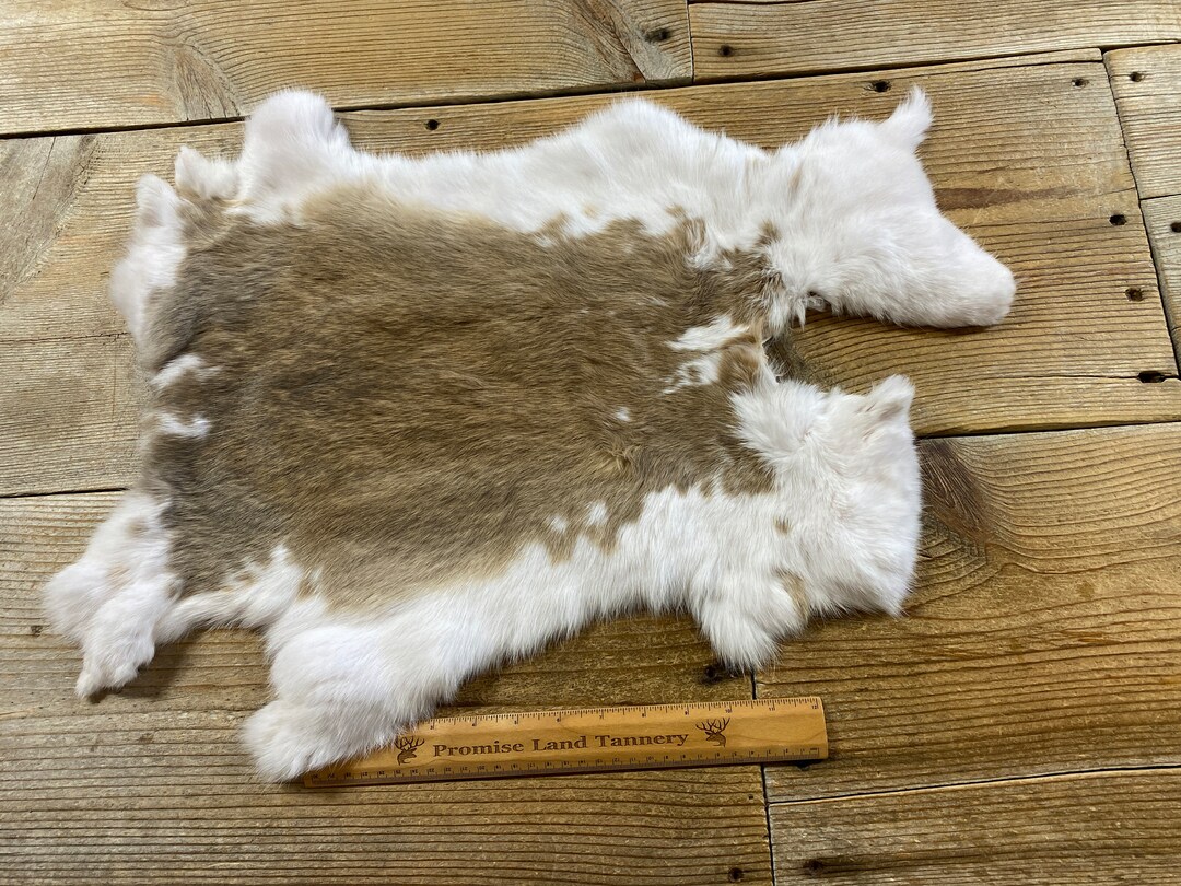 Brown and White Spotted Rabbit Hide - One Jumbo - Natural Rabbit Fur ...