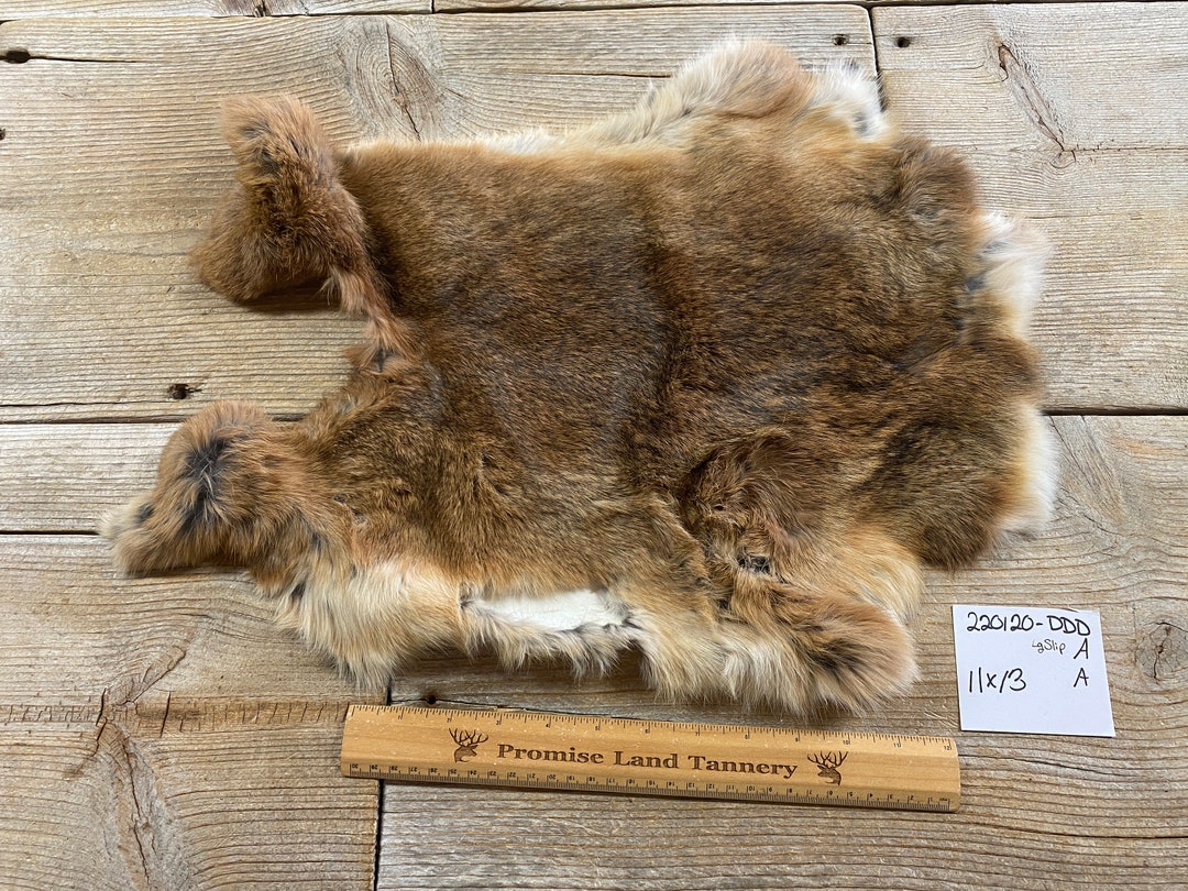 Brown Rabbit Hide-one Average - Blocked Rabbit Fur- No. 220120-DDD - Etsy