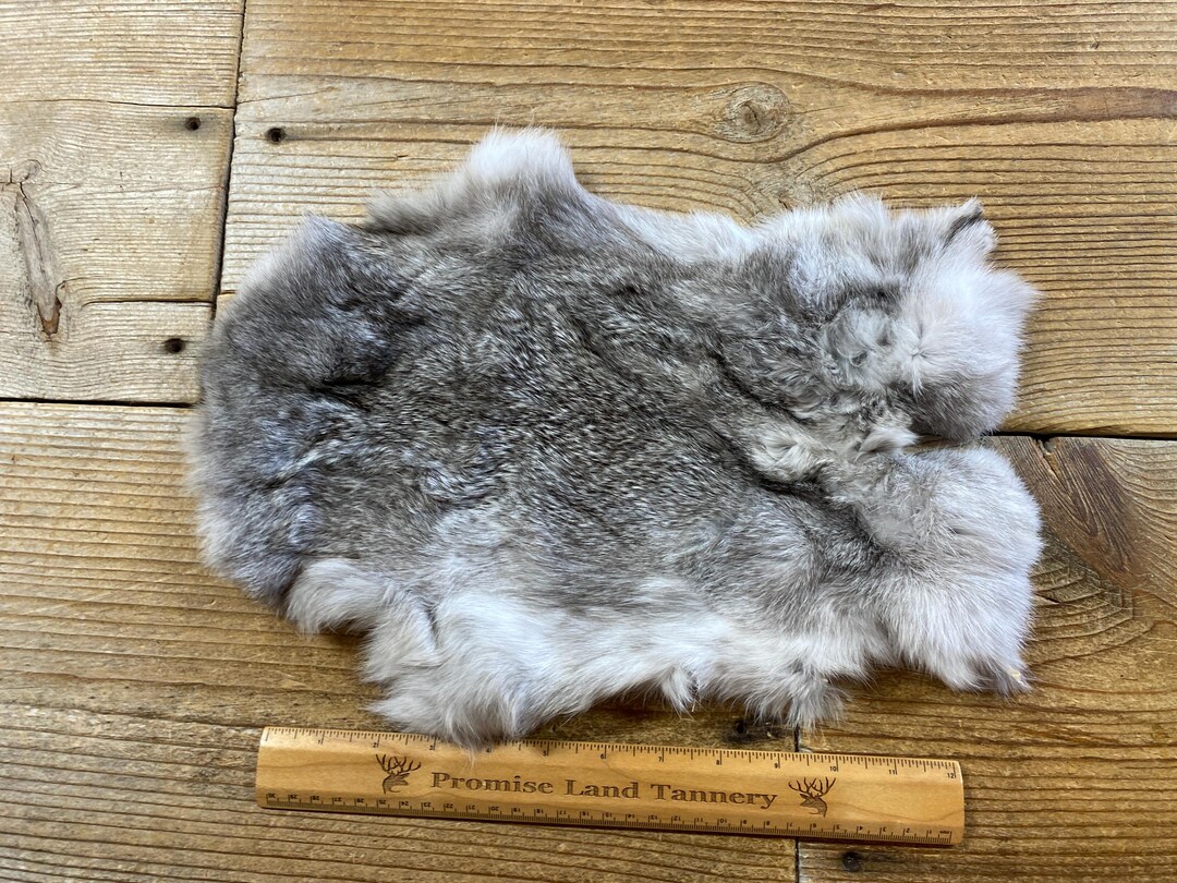 Gray Rabbit Hide - One Average - Natural Rabbit Fur - No. 240907-Q - Etsy