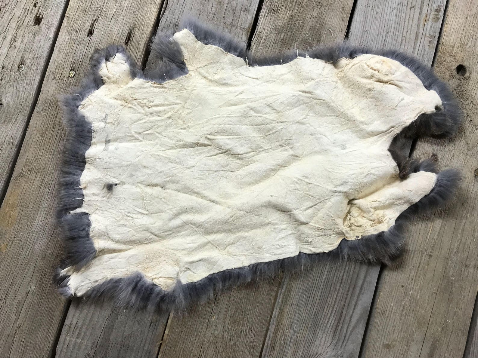 Lot of 4 Assorted Rabbit Hides as Shown Natural Rabbit Fur - Etsy