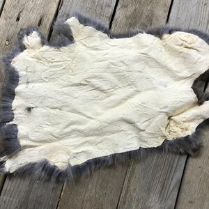 Lot of 4 Assorted Rabbit Hides- as Shown- Natural Rabbit Fur- No ...