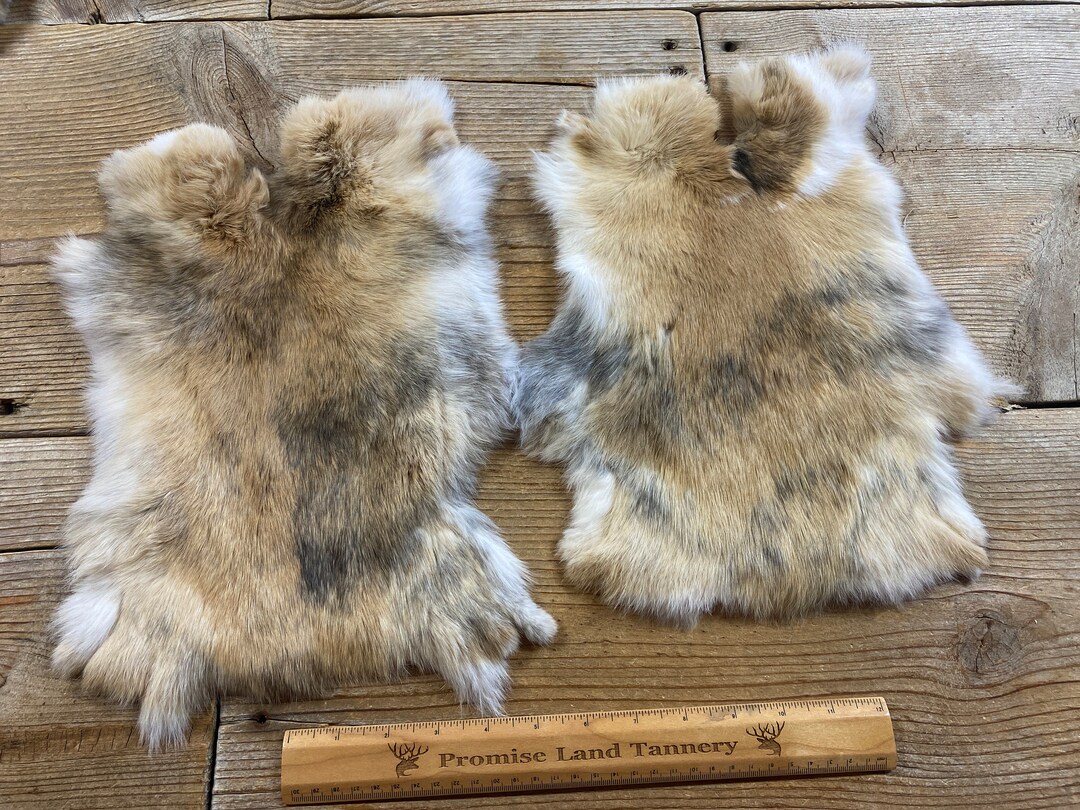 Japanese Harlequin Brown Rabbit Hide Two Average Natural - Etsy