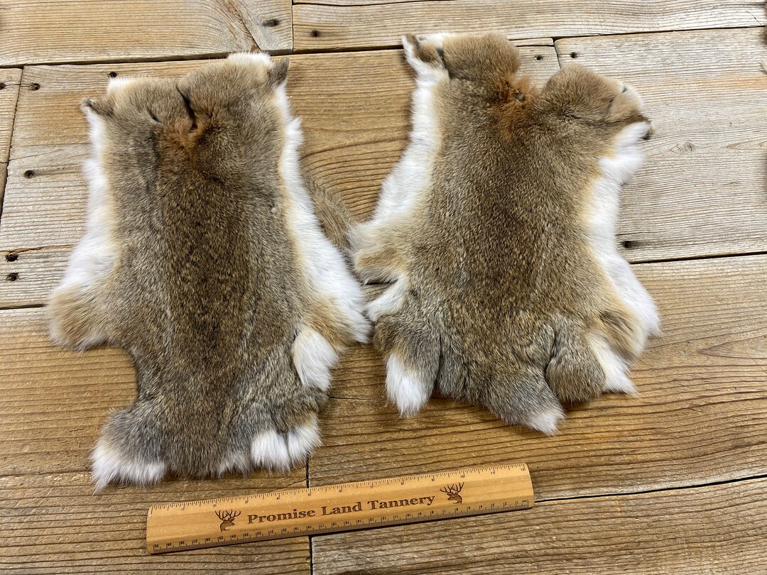 Brown Rabbit Hides - Two Matching Average - Natural Rabbit Fur - No ...