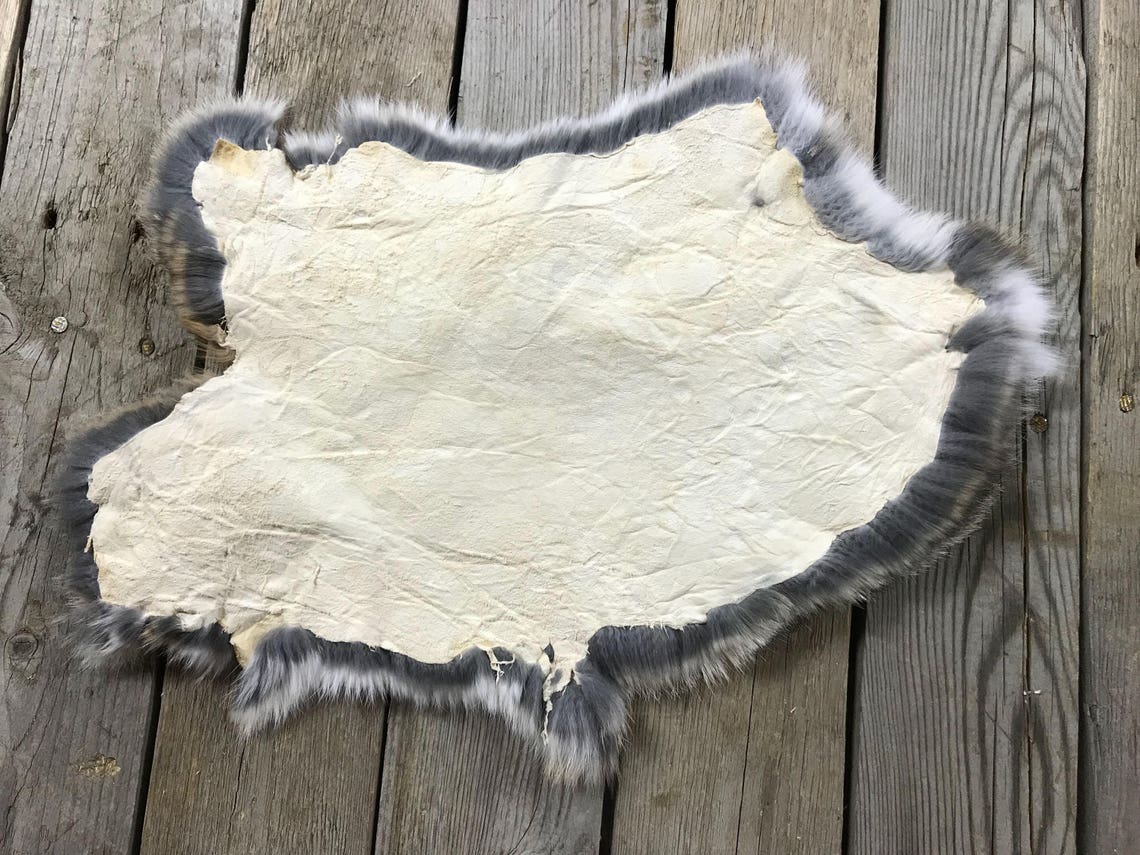 Lot of 4 Assorted Rabbit Hides as Shown Natural Rabbit Fur | Etsy