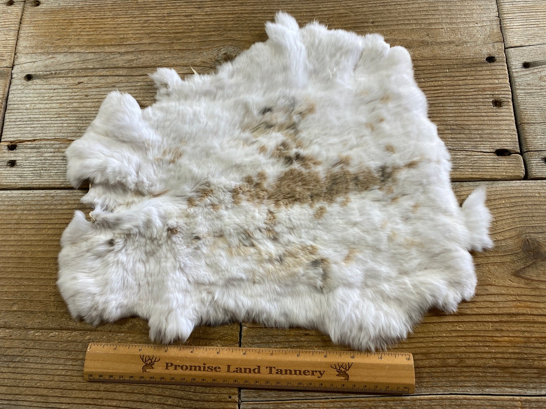 White With Brown and Black Spotted Rex Rabbit Hide - One Average ...