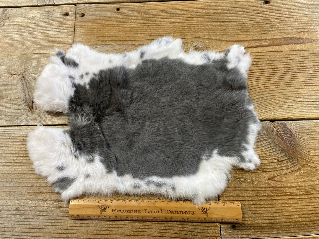 Gray and White Spotted Rabbit Hide One Average Natural Rabbit Fur Lot ...