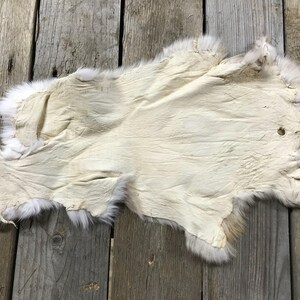 Lot of 4 Assorted Rabbit Hides- as Shown- Natural Rabbit Fur- No ...