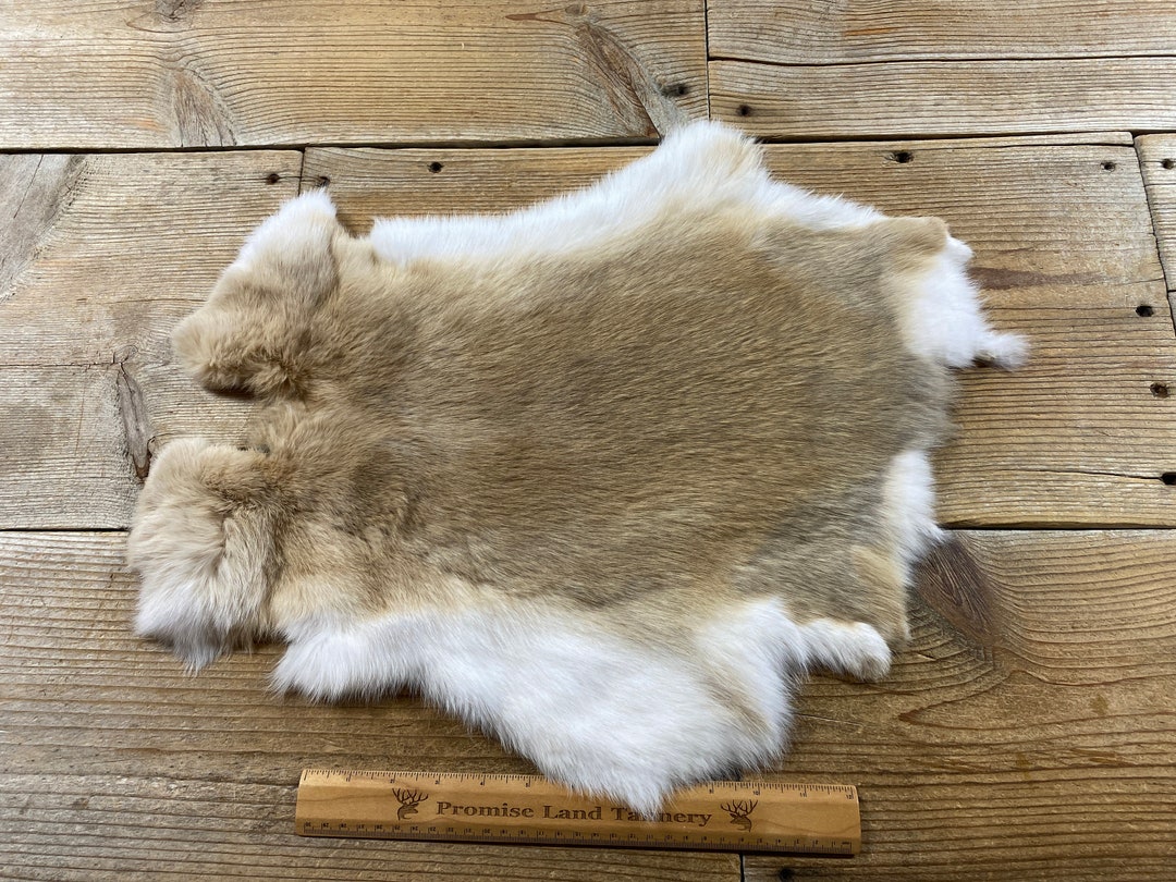 Tan Rabbit Hide One Average Natural Rabbit Fur Lot No. - Etsy