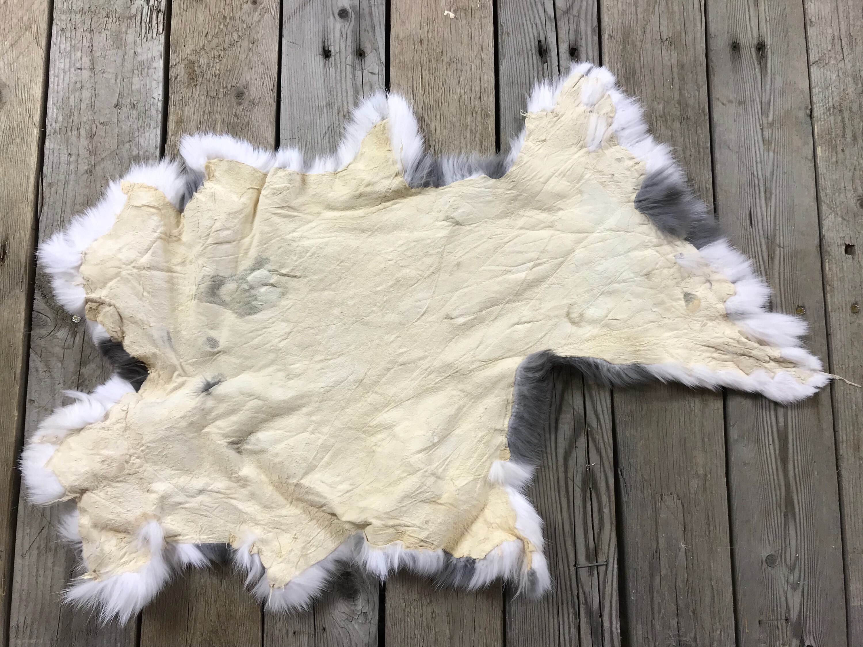 Lot of 3 Assorted Rabbit Hides as Shown Natural Rabbit Fur | Etsy New ...